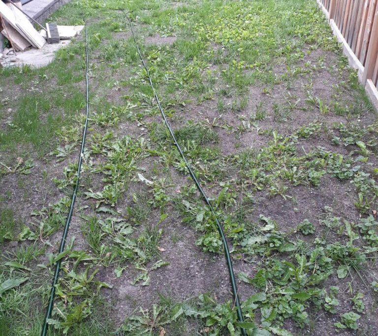 Weeds Beware: Early Spring Strategies for Weed Control in Toronto Lawns ...