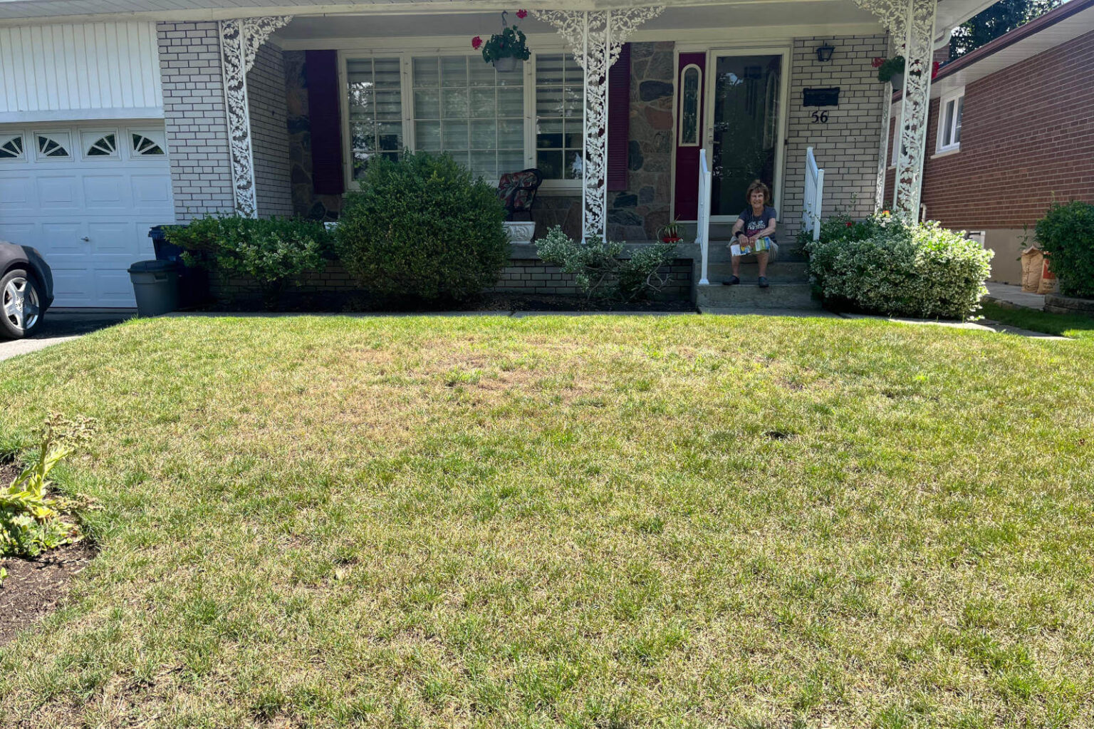 What Is the Best Way to Get Rid of Chinch Bugs? - LawnMart
